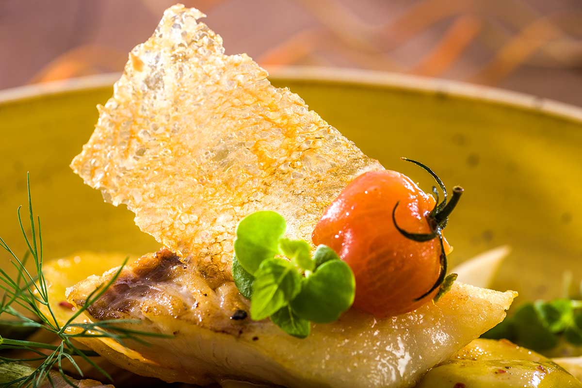 Gebratenes Zanderfilet auf Spargel-Rhabarber-Salat mit Spargel im ...