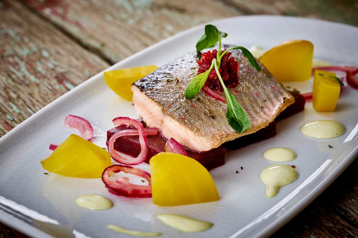 Eingelegter Saibling mit bunter Bete, Petersilien-Hollandaise und ...