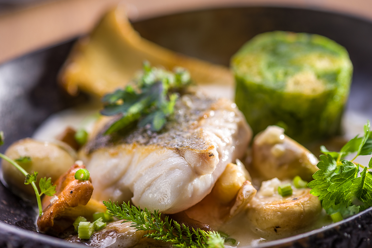 Gebratenes Seehechtfilet auf cremigen Waldpilzen und Petersilienknödel ...