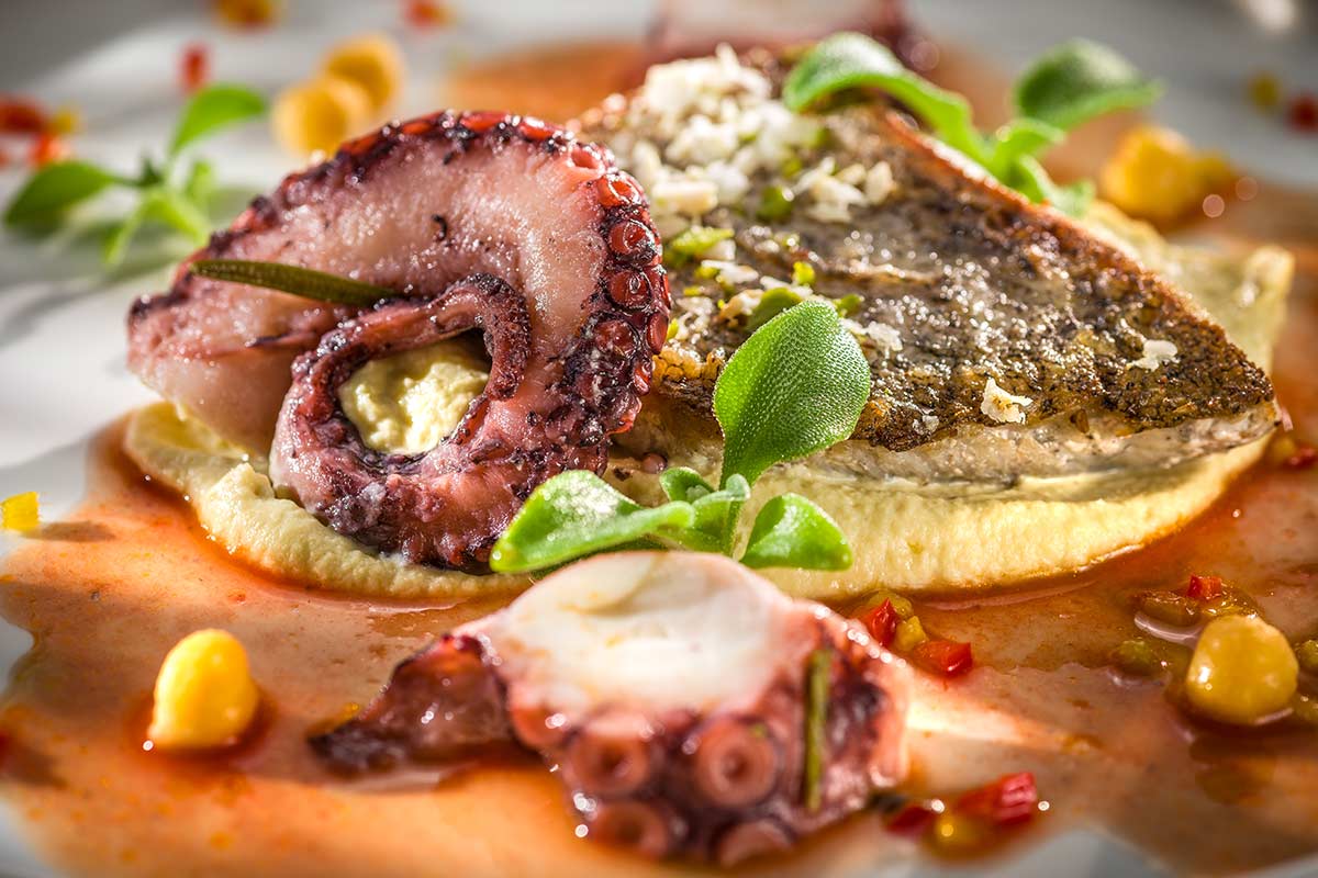 Gebratenes Zackenbarschfilet und Pulpo auf Hummus im Krustentier ...