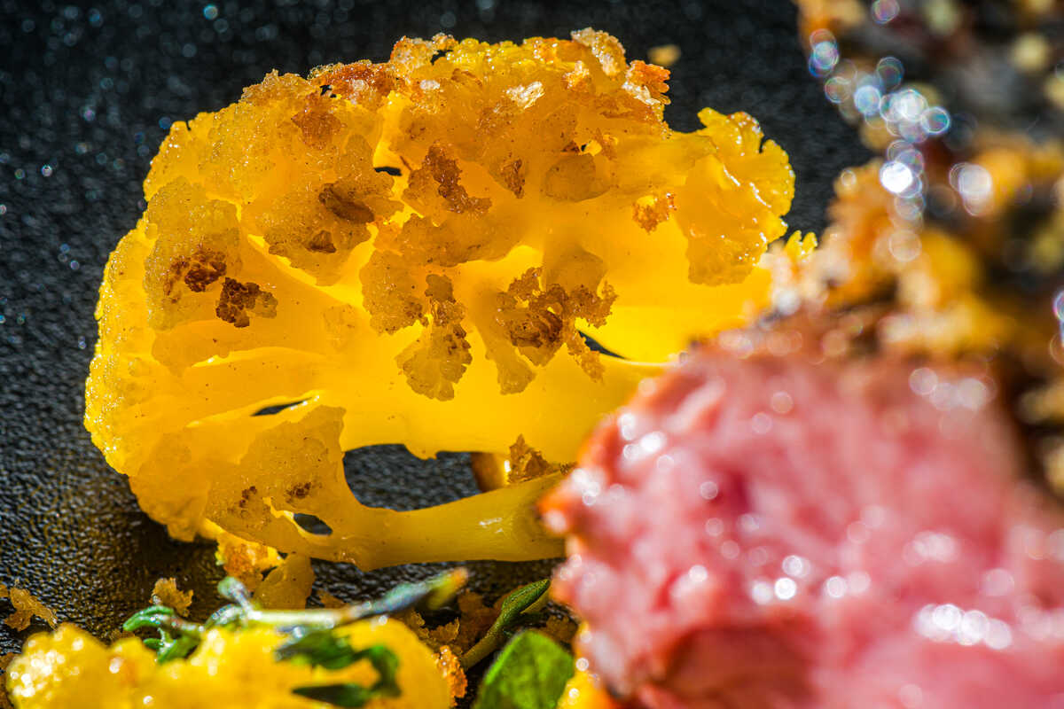 Kalbsfilet | Sesamkruste | Karotten-Senf-Püree | ofengebackener ...